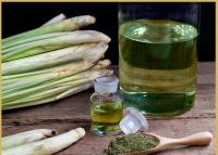 China Extracted Lemongrass Pure Essential Oils for sale