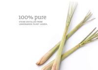 China Extracted Lemongrass Pure Essential Oils for sale
