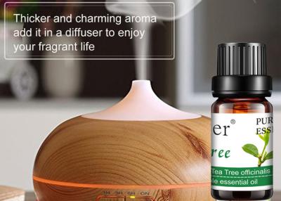 Cina Allevii gli oli essenziali puri di sforzo, olio puro dell'albero del tè per la forfora del cuoio capelluto della crescita dei capelli in vendita