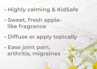 China Customized Chamomile Aromatherapy Oils For Humidifier for sale