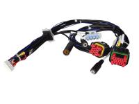 China Customize Harness Cable Assembly Automotive Marine Waterproof for sale