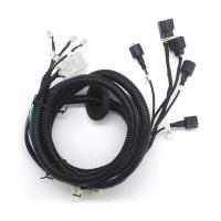China Custom Electrical Wiring Harnesses Reliable Multiple-Function Wire for Car Modification for sale