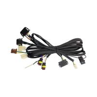 China Custom Electrical Wiring Harnesses Reliable Multiple-Function Wire for Car Modification for sale