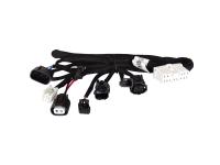 China Car Electric Tailgate Cable Assembly Wire Harness Loom Custom for sale