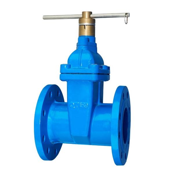 Quality Flanged Gate Valve 2 Inch Ductile Cast Iron Gate Valves for sale