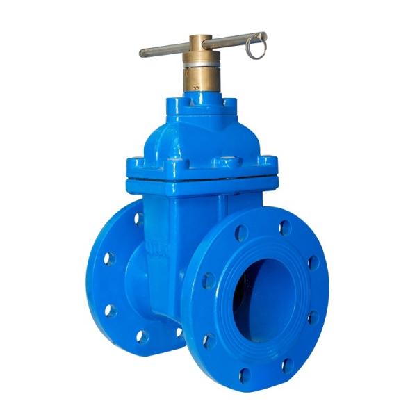 Quality Flanged Gate Valve 2 Inch Ductile Cast Iron Gate Valves for sale