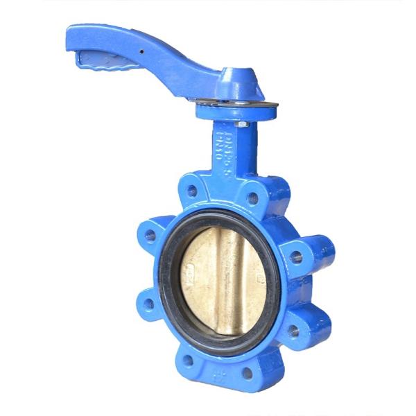 Quality Lug Type Butterfly Valve for sale
