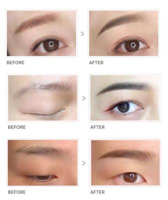 Cina Inchiostro organico cosmetico del pigmento dei semi di Microblading dell'etichetta privata per l'accademia di UGP in vendita