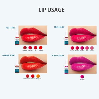 Cina Il trucco permanente liquido dinamico originale 15ml pigmenta un ODM di 18 colori in vendita