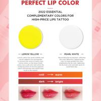 China Permanent Makeup Ink For Eyebrows Correction Base Pigment for sale