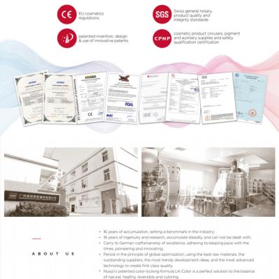 Cina Pigmento permanente del toner di trucco dell'OEM per l'inchiostro di potere di Microblading in vendita