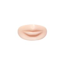China Silicone Durable Permanent Makeup Practice Skin For Lips Training 4D Module for sale