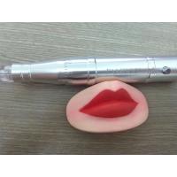 China Silicone Durable Permanent Makeup Practice Skin For Lips Training 4D Module for sale