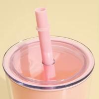 China Custom Double Wall Plastic Water Bottle 720ml with Straw PC Material Reusable for sale