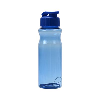 China Garrafas de água potável de PET de 500 ml, unisex, com logotipo personalizado e fornecimento de amostra à venda