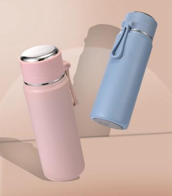 China Contemporary Design Custom BPA Free Vacuum Double Wall Sport waterfles met handvat Te koop