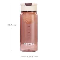 China PP Plastic 650ml Portable Drinking Water Bottle with Strainer Custom Logo for sale