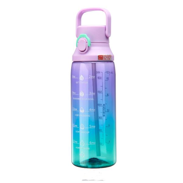 Quality Gradient Color Water Bottle 750ml Capacity Sustainable PC Material with Time for sale
