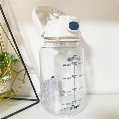 Cina Logo personalizzato accettabile bottiglie d'acqua riutilizzabili senza BPA da 297 g per la promozione della palestra cool in vendita