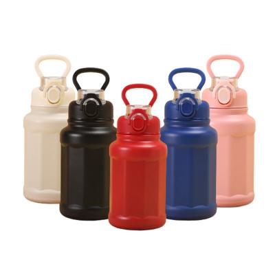 China 700 ml roestvrijstalen geïsoleerde thermos met stroofdeksel duurzaam en alles in één Te koop