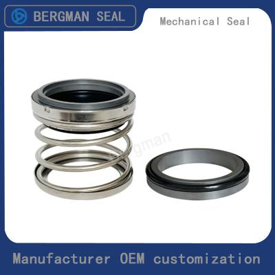 Cina BERGMAN TYPE/T21 Inch Graphite Silicon Carbide Tungsten Carbide Nitrile Viton EPDM Pump Mechanical Seal in vendita