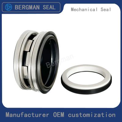 China BERGMAN Vervangt John Crane 2100-S 12mm-100mm G60 G4 G6 G9 G13 G16 BS Bo BP Pump Mechanical Seal for sale