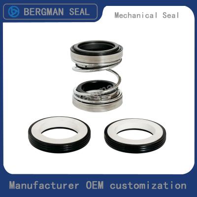 중국 BERGMAN 202/208-10mm-60mm 파이프라인 펌프 기계 밀폐 NBR VITON EPDM 재료 판매용