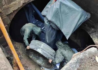 Cina Cura UV CIPP che allinea lunghezza dell'attrezzatura 200m per la riparazione municipale NO-DIG della fogna in vendita