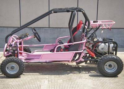 Cina 110cc scherza lo scaffale posteriore dei sedili dei go-kart due di Off Road con la trasmissione/inverso di CVT in vendita