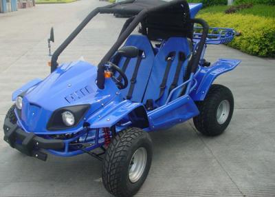 Cina Il raffreddamento ad acqua 250cc raffredda i go-kart, go-kart di 2 Seater con la frizione di CVT in vendita