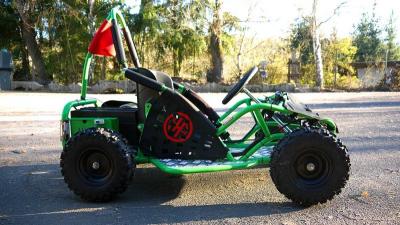 China 1000 de Geborstelde gelijkstroom Motor Atv van W 48v Al Terreinvoertuig 2 Zetels met Groot Zacht Seat Te koop