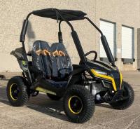 China 200cc Mini Go Kart Buggy Fully Automatic With Reverse for sale