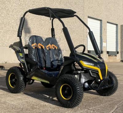 Cina 200cc Mini Go Kart Buggy Fully automatico con l'inverso in vendita