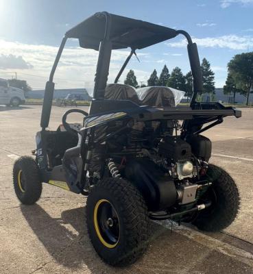 Cina 200cc Mini Go Kart Buggy Fully automatico con l'inverso in vendita