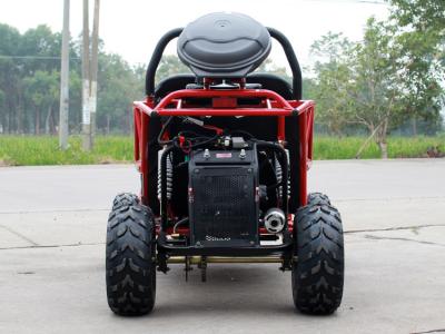 Китай 110кк улица начала КДИ Электирк полностью автоматическая идет Карц/4 корабля привода колеса продается