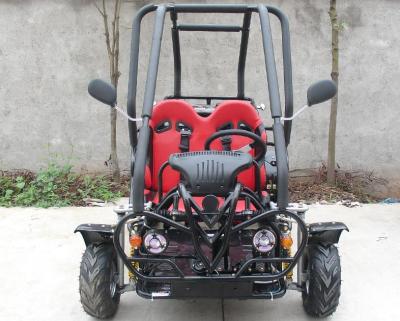 Cina 110cc go-kart motorizzati piccola dimensione, velocità automatica della frizione 3 dei go-kart adulti con l'inverso in vendita