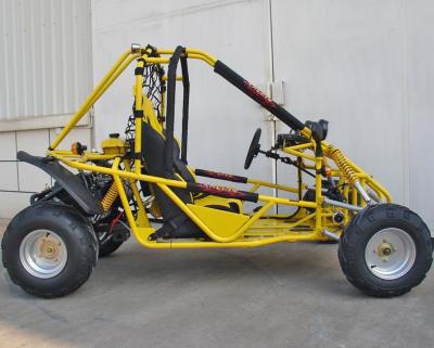 Cina Frizione automatica con errori dei grandi go-kart 150CC freno a disco parte posteriore/anteriore con CVT in vendita