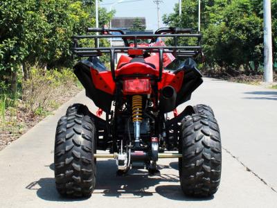 Cina singola gioventù ATV di corsa 10