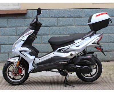 Cina motorino adulto della ruota del motorino di motore 4.41hp/7500rpm CVT 2 con 13
