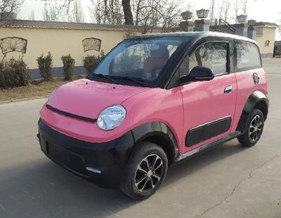 Cina Rosa/automobile elettrica elettrica blu dei carretti di golf 220v 4.2kw 2 Seat con il tamburo anteriore parte posteriore/del disco in vendita