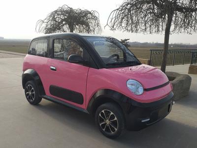 Cina Rosa/automobile elettrica elettrica blu dei carretti di golf 220v 4.2kw 2 Seat con il tamburo anteriore parte posteriore/del disco in vendita