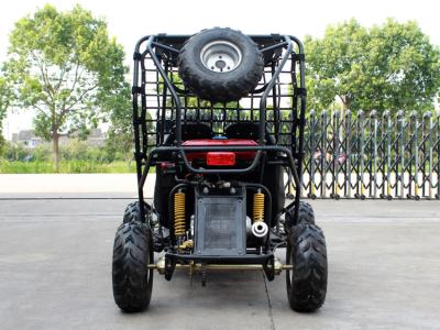 中国 ディスク・ドライブ ブレーキ125ccはバギー自動変速機が付いているKartの行きます（3+N+R）またはD+N+R 販売のため