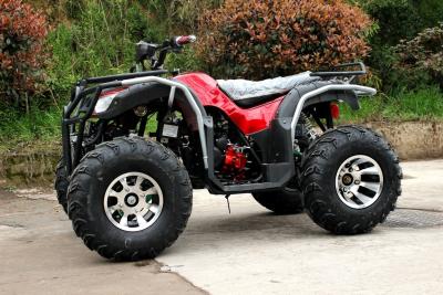 Cina Frizione elettrica della bici del quadrato di inizio 250cc Atv/del manuale dei carrai Atv 4 della gioventù in vendita