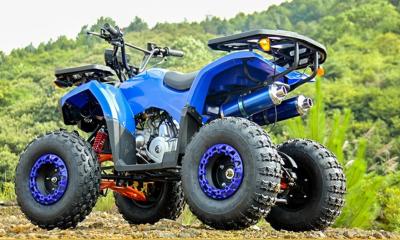 Cina Gioventù elettrica di inizio che corre la frizione automatica 125cc di ATV per l'adulto soltanto in vendita