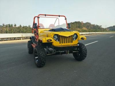 Cina Go-kart guidati asse di ATV 80km/H 300cc doppio Seat in vendita
