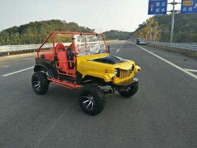 Cina Go-kart guidati asse di ATV 80km/H 300cc doppio Seat in vendita