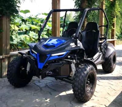 China 6000rpm GY6 Engine 2.64 Gal Gas Utility Vehicles for sale