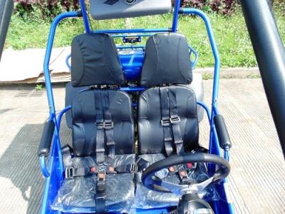 Cina Accensione 17,4 di CDI di 2,25 galloni HP 300cc CVT EFI Go Kart Buggy in vendita
