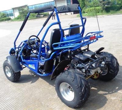 Cina Accensione 17,4 di CDI di 2,25 galloni HP 300cc CVT EFI Go Kart Buggy in vendita