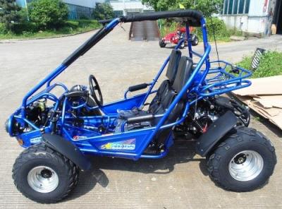 Cina Accensione 17,4 di CDI di 2,25 galloni HP 300cc CVT EFI Go Kart Buggy in vendita